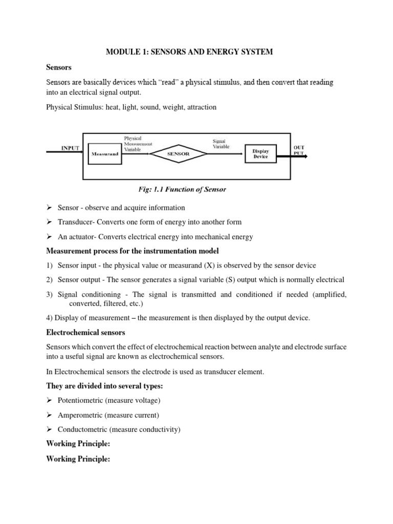 CS 5 Module Notes | PDF