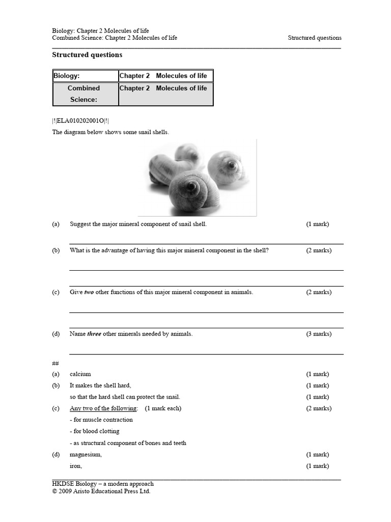 Molecules of Life: Biology Chapter 2 Guide | PDF | Fat | Trans Fat