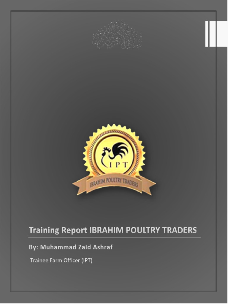 Dr. Mumuhammad Zaid Ashraf Ipt Training Report | PDF
