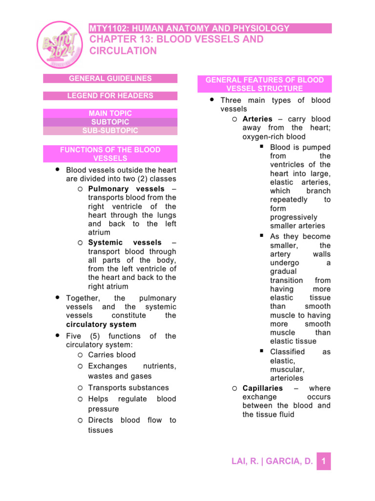 Blood Vessels and Circulation Overview | PDF | Aorta | Vein