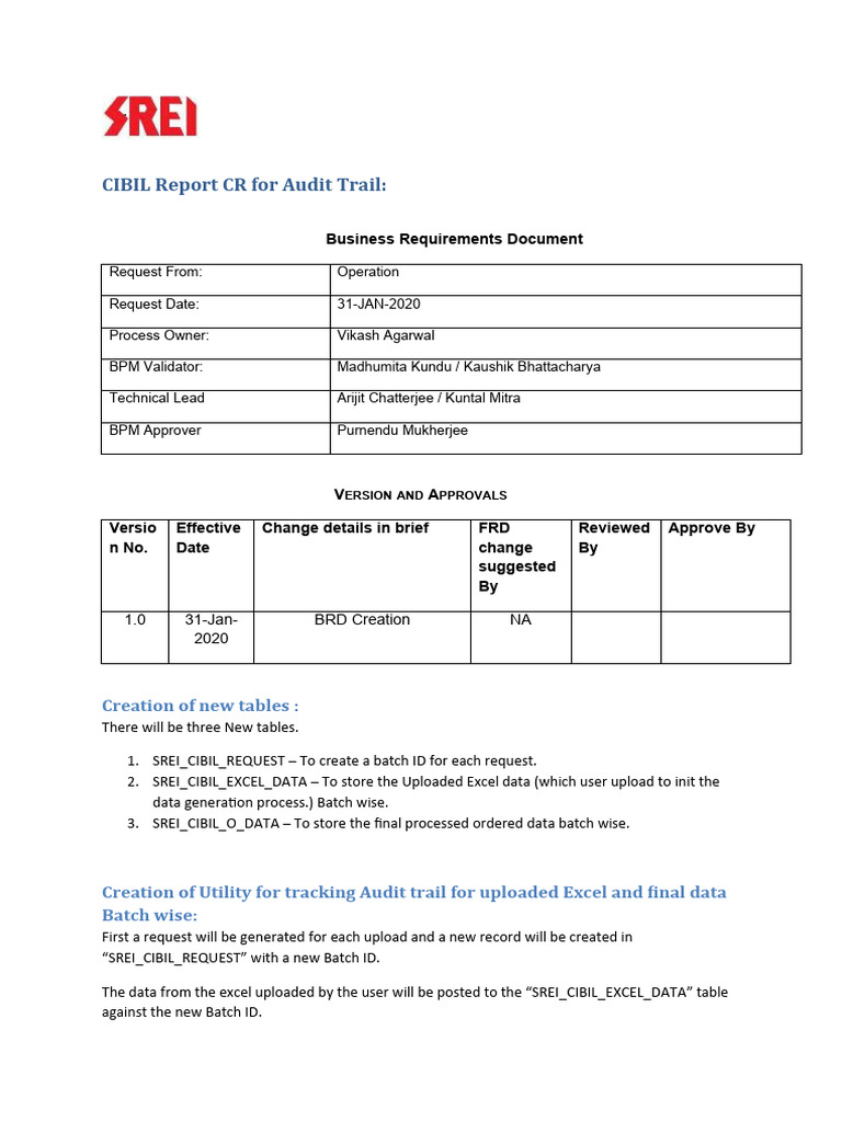 BRD For CIBIL Report Audit | PDF