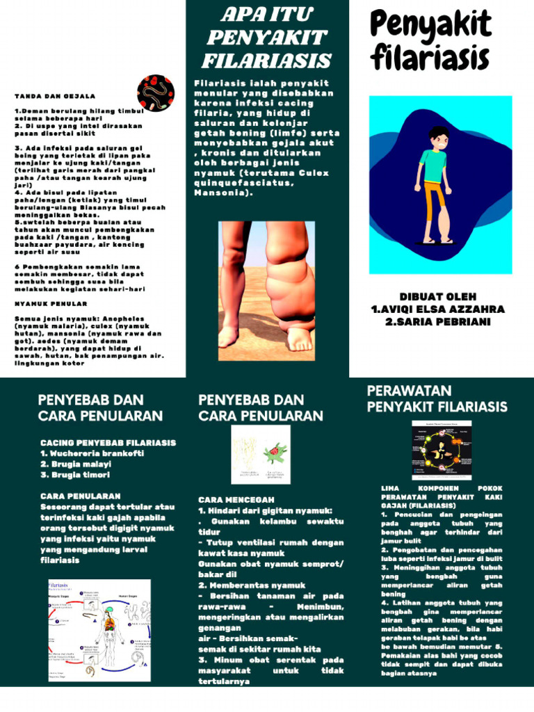 Leaflet Filariasis | PDF