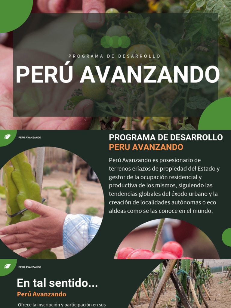 Programa de Desarrollo Perú Avanzando - Brouchure | PDF
