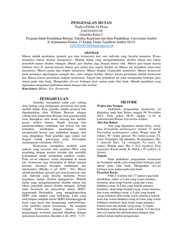 Mutasi Gen pada Lalat Buah | PDF | Sains & Matematika