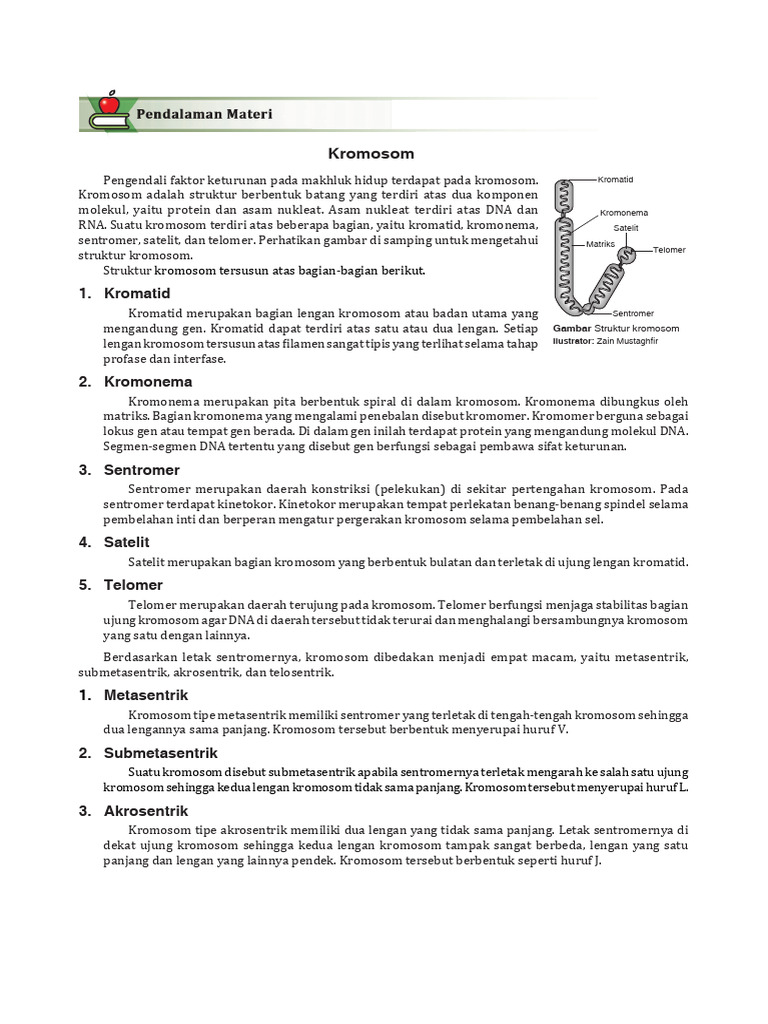 Struktur dan Tipe Kromosom Manusia | PDF | Sains & Matematika