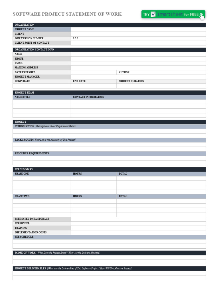 IC Software Project Statement of Work Template 8719 | PDF | Information ...