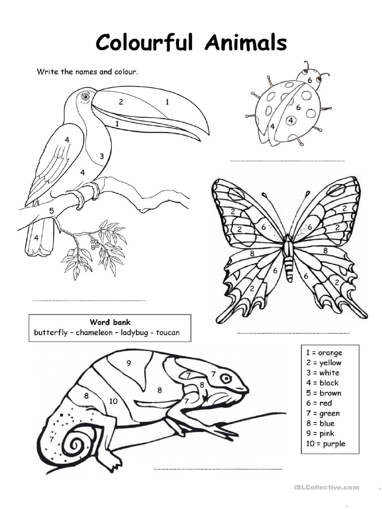 Color by Numbers | PDF