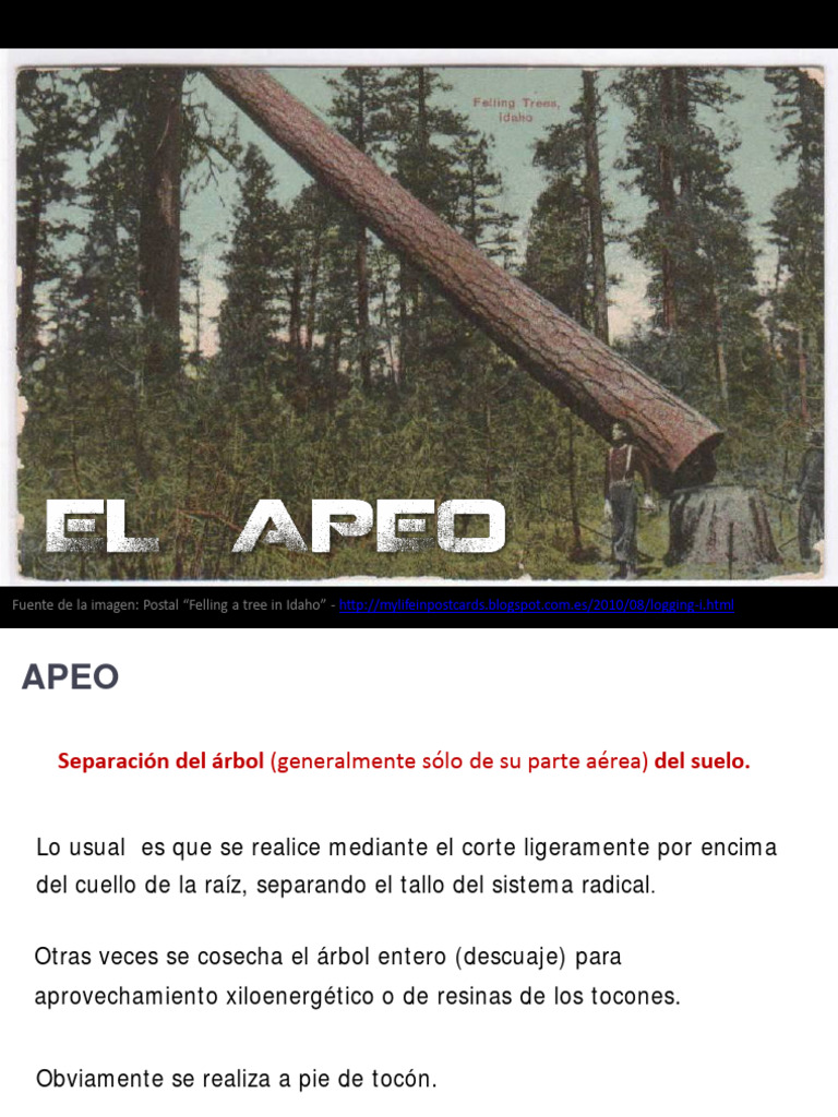 Presentacion.3.El Apeo Manual | PDF