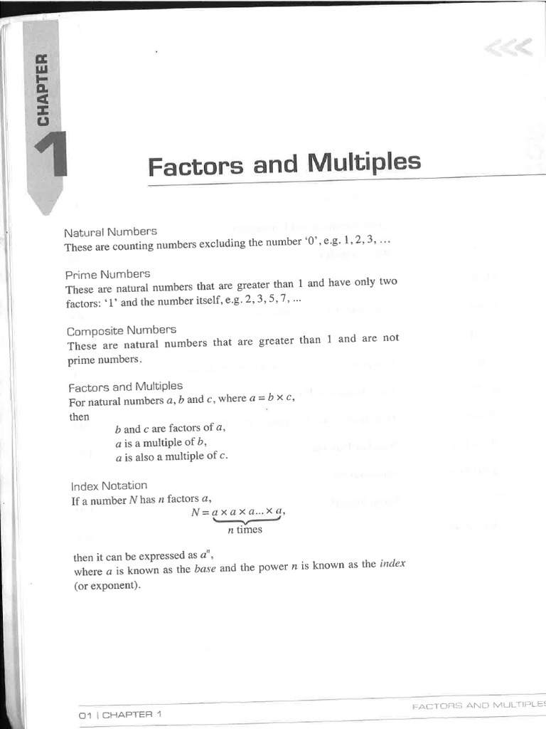 Chapter 1 Factors and Multiples | PDF
