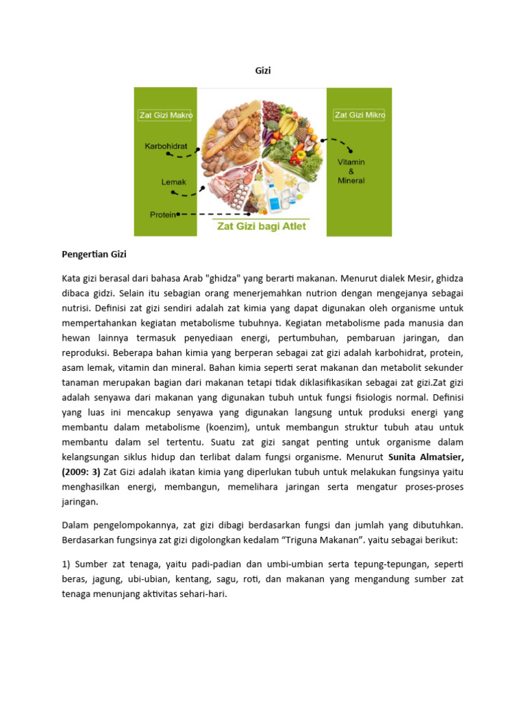 Pengertian Gizi& Macam-Macam Gizi | PDF