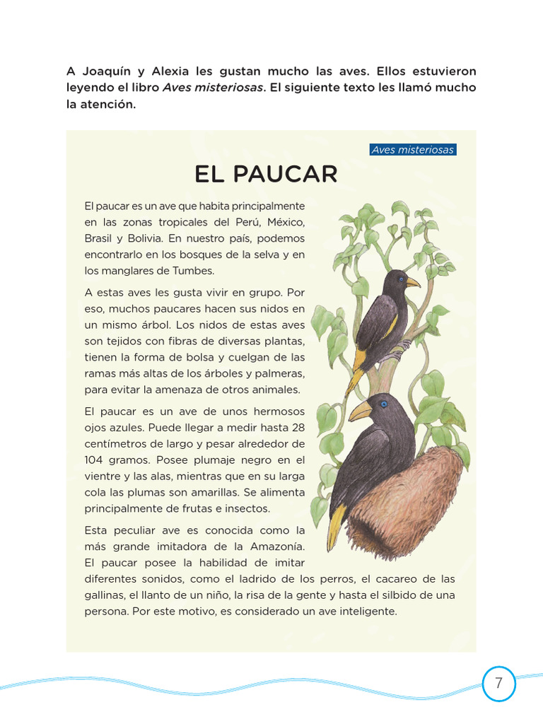 El Paucar | PDF | Aves | Pollo