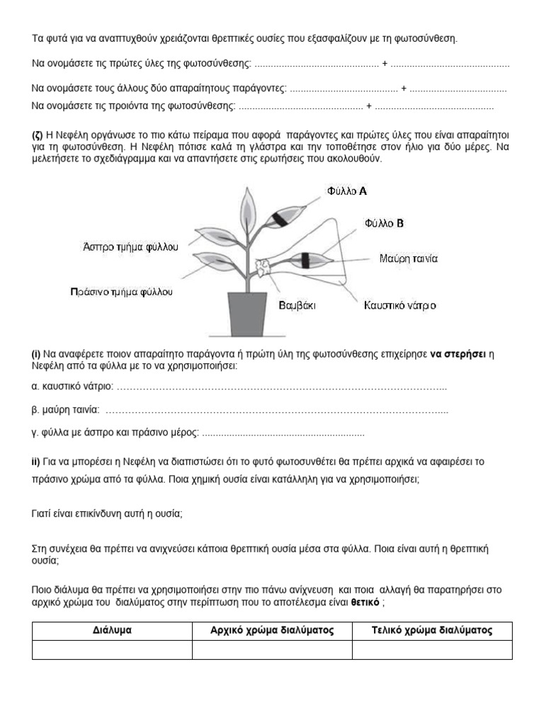 Ασκήσεις φωτοσύνθεση | PDF