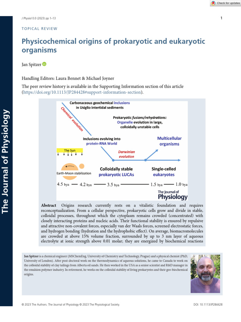 Origins of Prokaryotic and Eukaryotic Life | PDF | Cell (Biology) | Life
