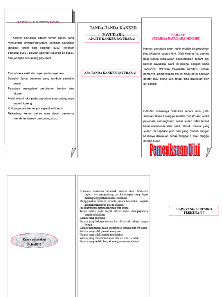 Leaflet Tumor Mammae | PDF