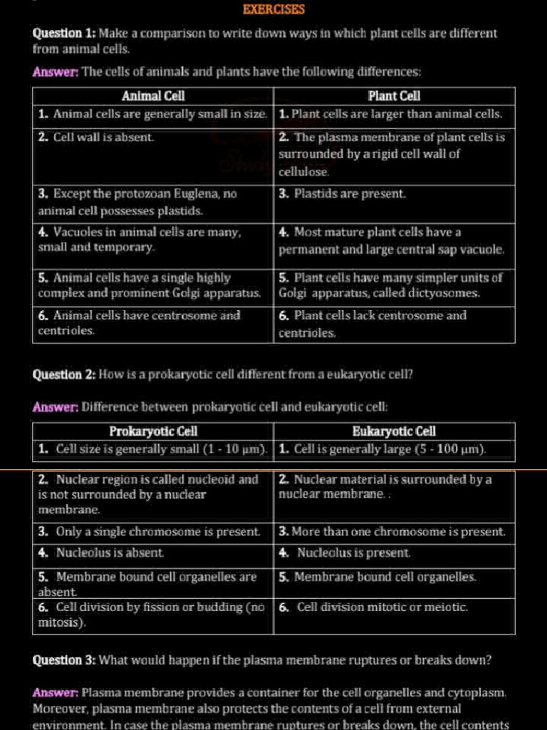 The Fundamental Unit of Life | PDF | Cell (Biology) | Endoplasmic Reticulum