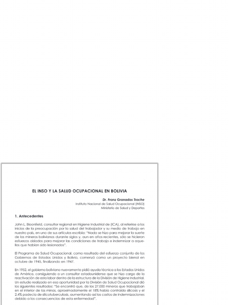 EL INSO Y LA SALUD OCUPACIONAL EN BOLIVIA - PDF | PDF