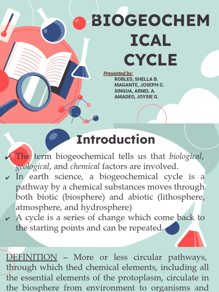 Biogeochemical Cycles Report | PDF | Sulfur | Phosphorus