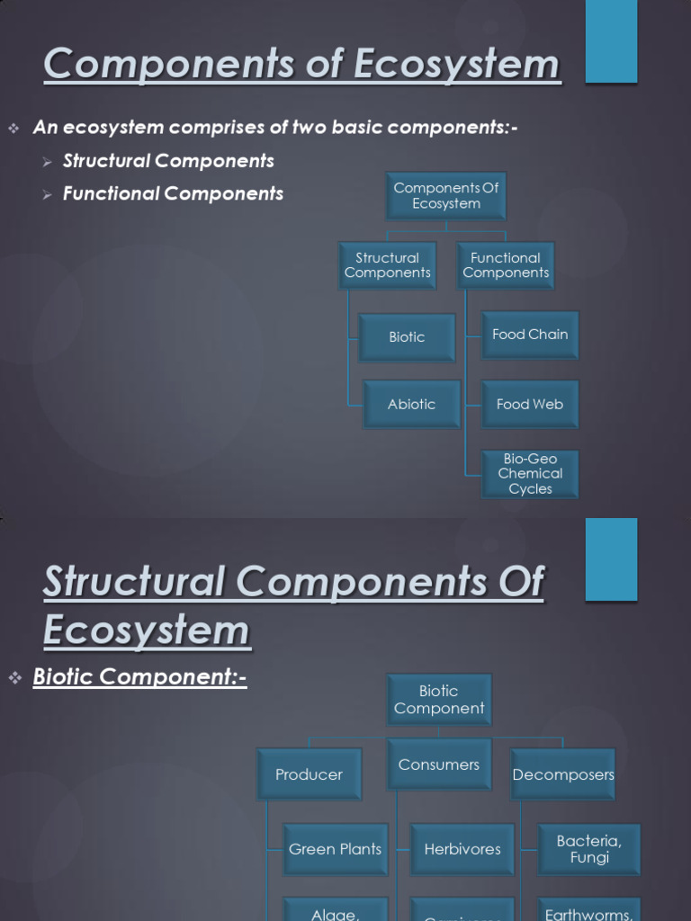 Ecology and Ecosystem | PDF | Ecosystem | Foods