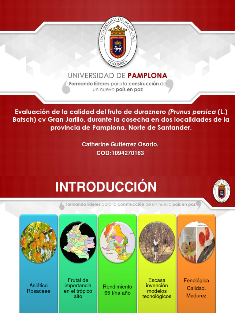 Socializacion Final | PDF Socializacion Final | PDF