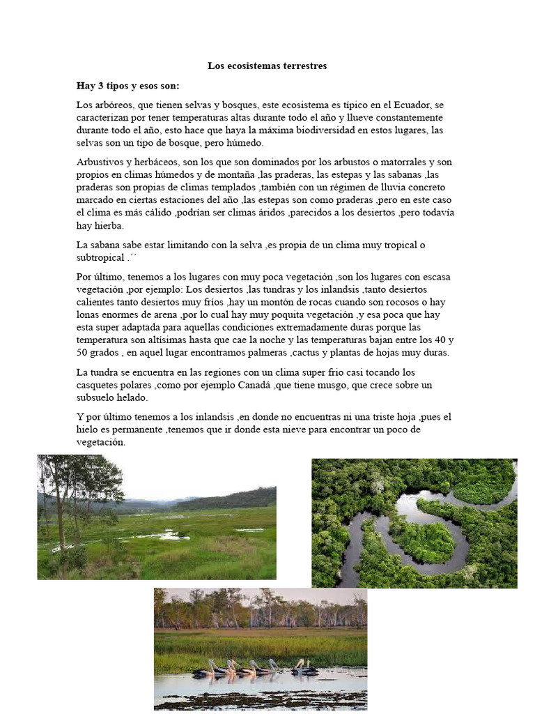 Los Ecosistemas Terrestres | PDF