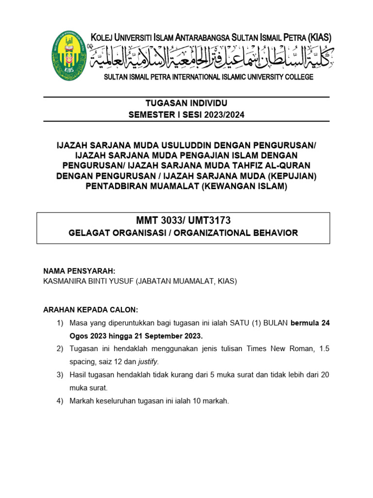 OB - Individual Assignment | PDF