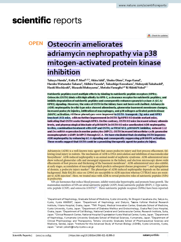 19. Osteocrin ameliorates adriamycin nephropathy via p38 mitogen ...