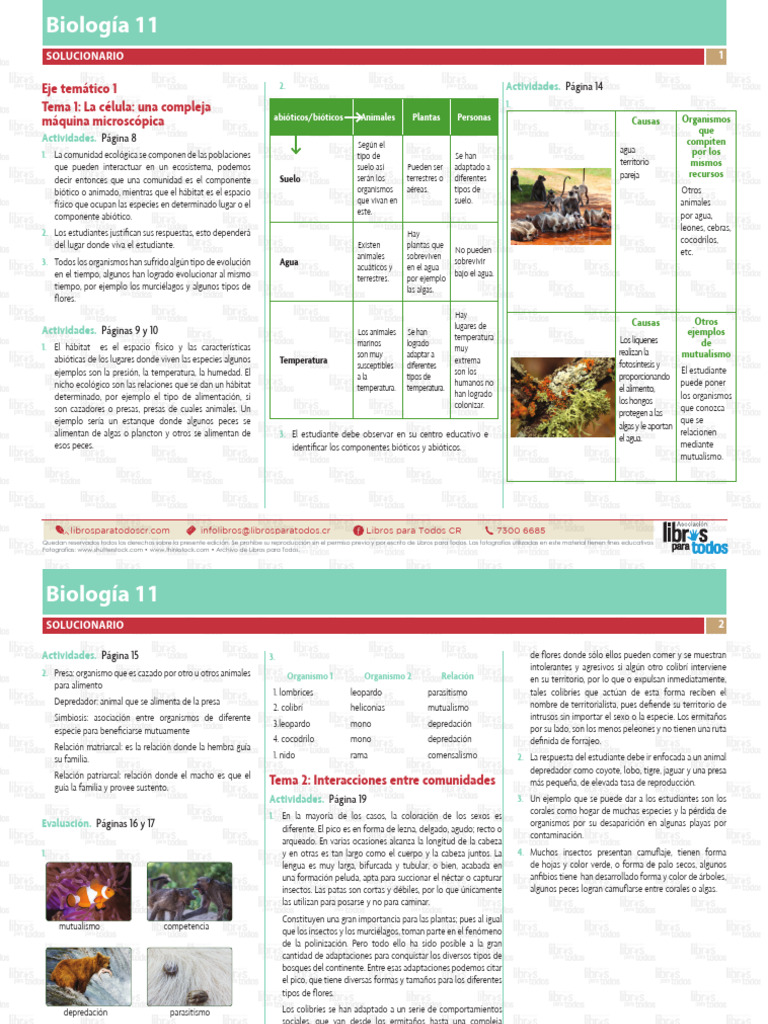 B11 U1 Solucionario | PDF