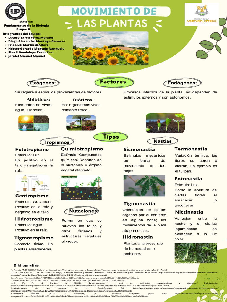 Infografía tipos de movimientos de las plantas | PDF | Ramas de la ...