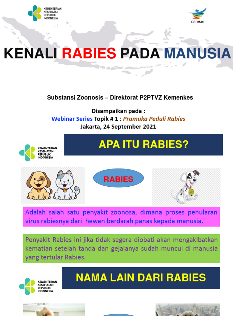 Kenali Rabies: Penyakit dan Pencegahan | PDF