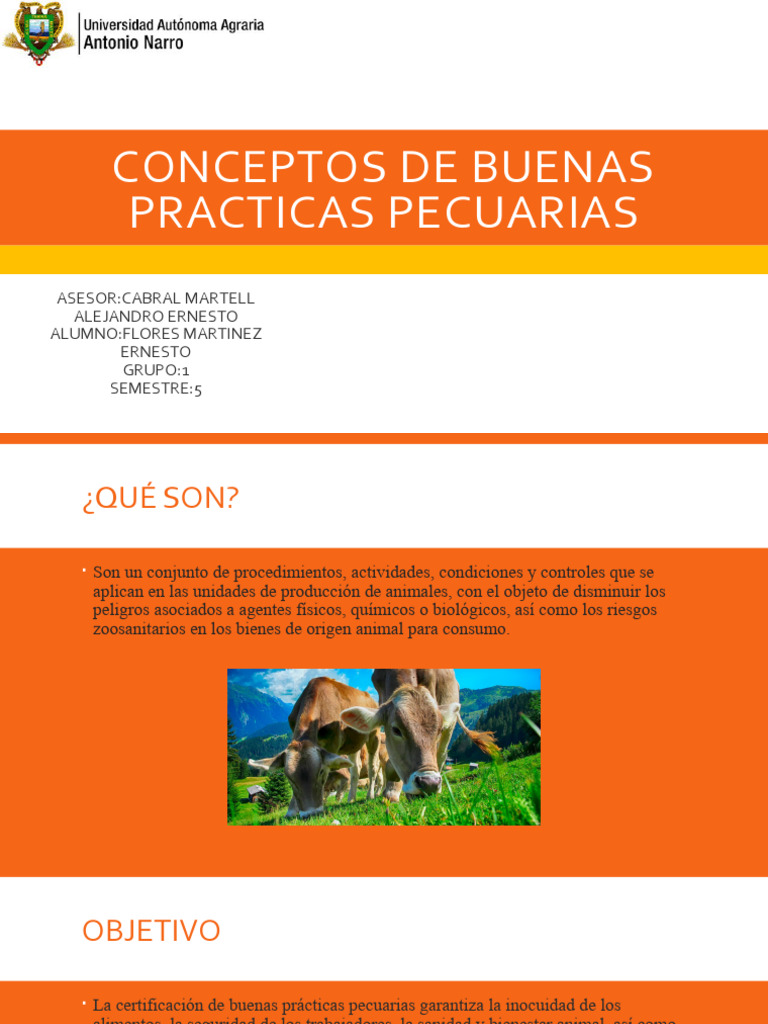 Conceptos de Buenas Practicas Pecuarias.. | PDF | Salud y bienestar | Ciencia y matemáticas