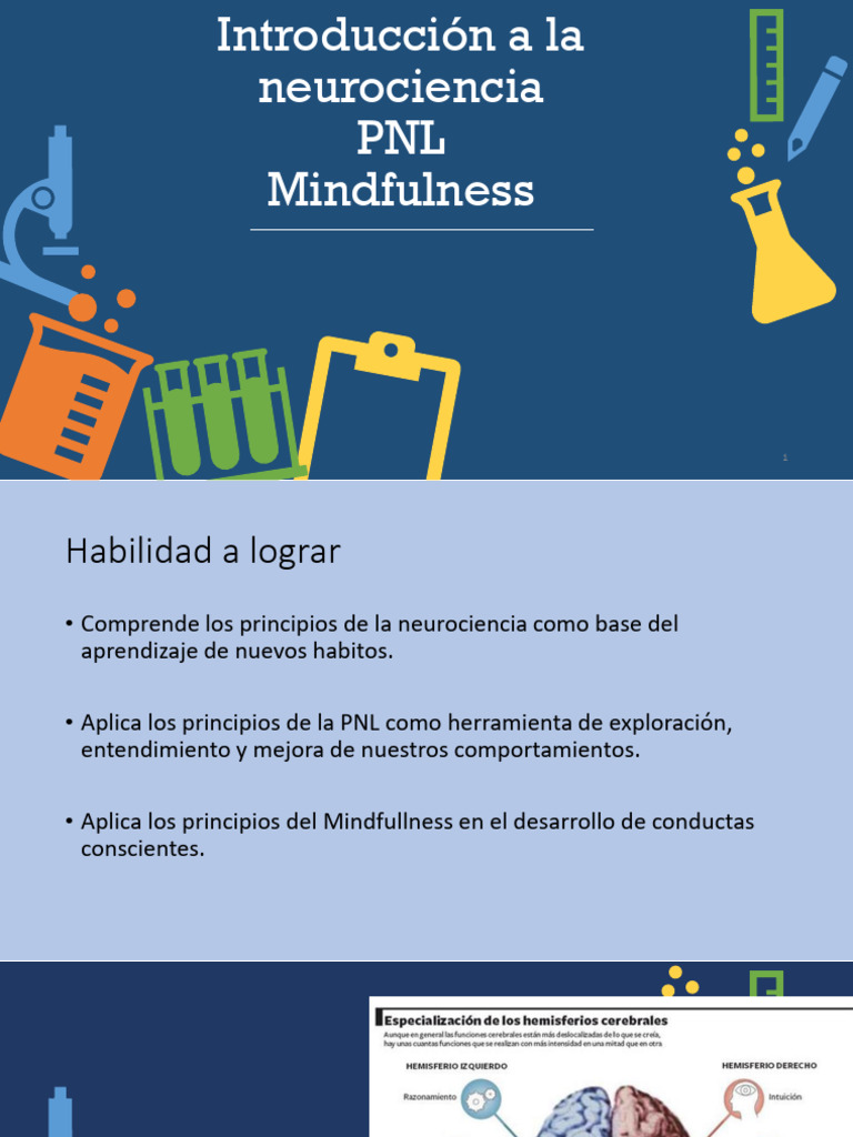 Clase 5.introduccion A La Neurociencia - PNL - Mindfulness | PDF ... Clase 5.introduccion A La Neurociencia - PNL - Mindfulness | PDF ...