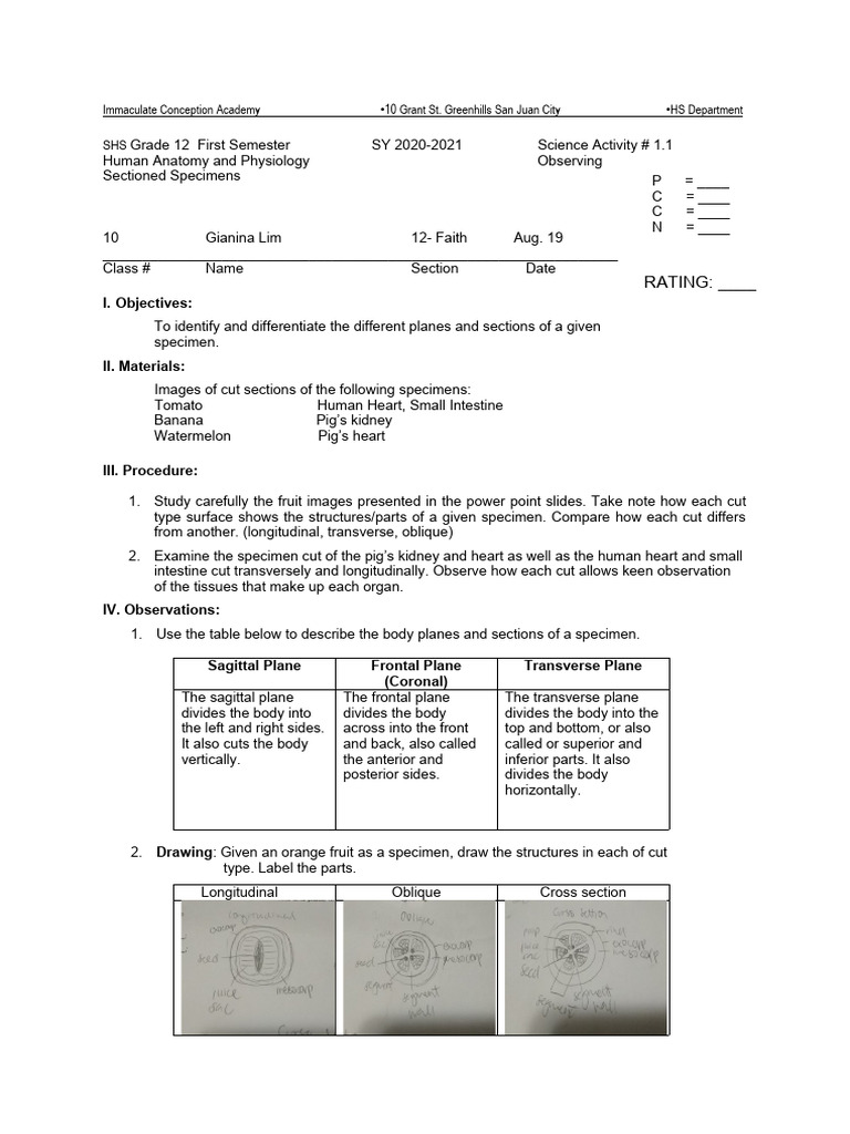 Science Activity 1 | PDF
