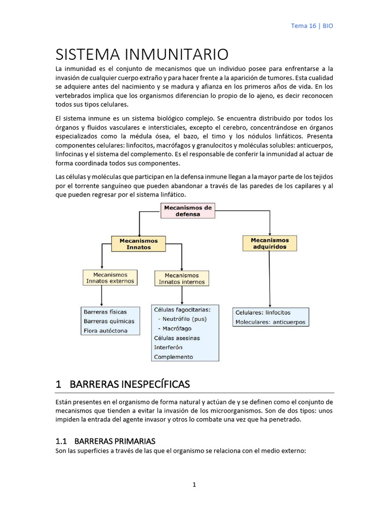 Sistema Inmune | PDF | Sistema inmune | Linfocitos