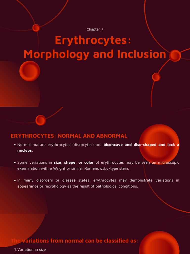 8 Morphology and Inclusions | PDF | Red Blood Cell | Anemia