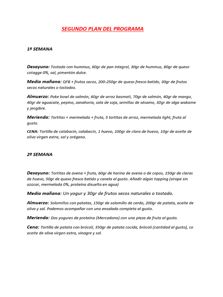 Segundo Plan Del Programa | PDF
