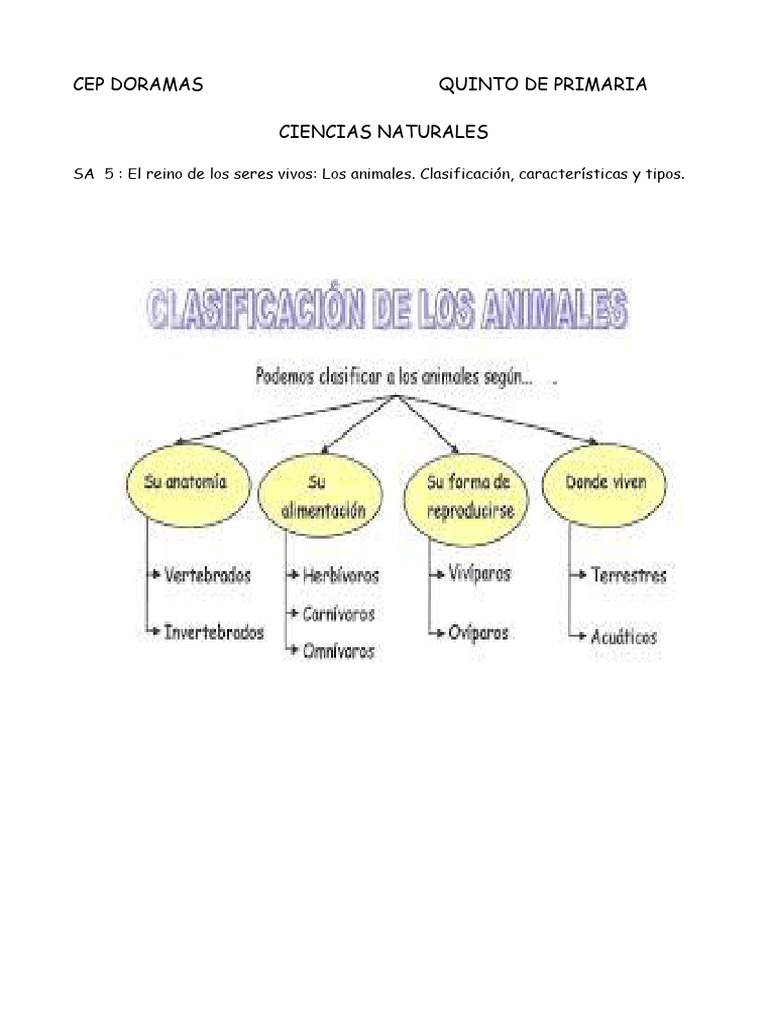 Clasificación de Animales para Niños | PDF