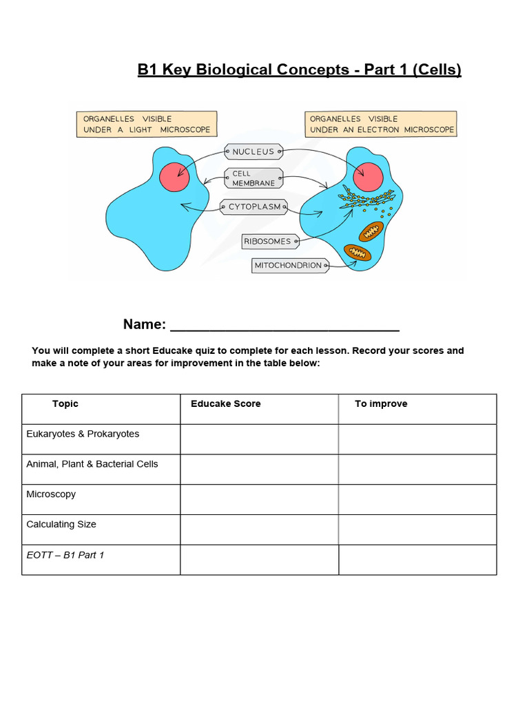 B1a Booklet Cells Pdf V3 Pdf
