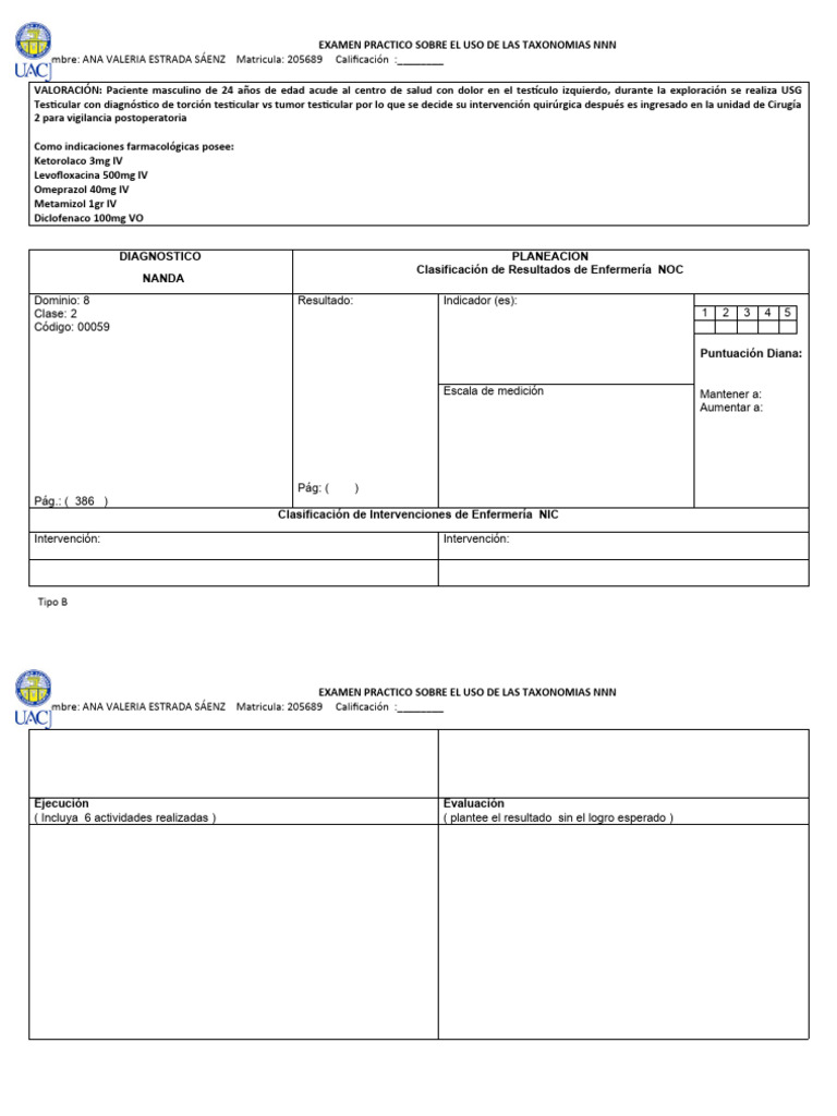 Formato para Pae | PDF