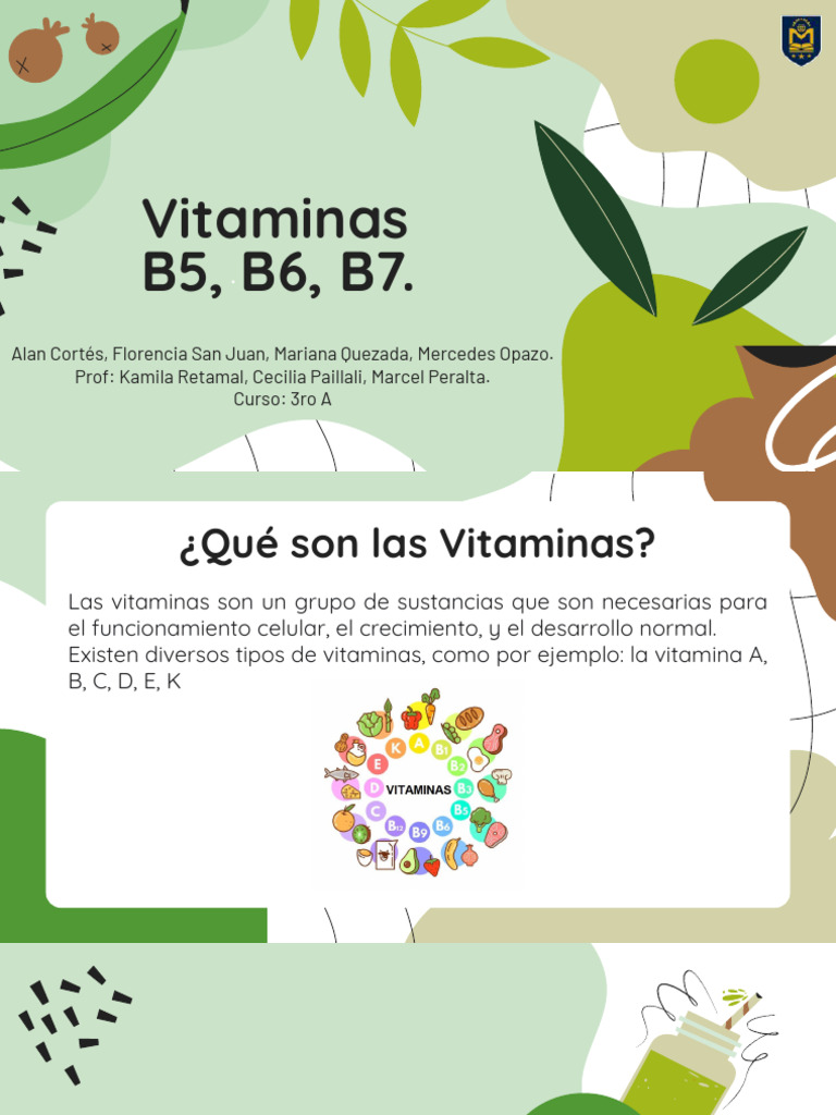 Vitaminas B5, B6, B7 | PDF