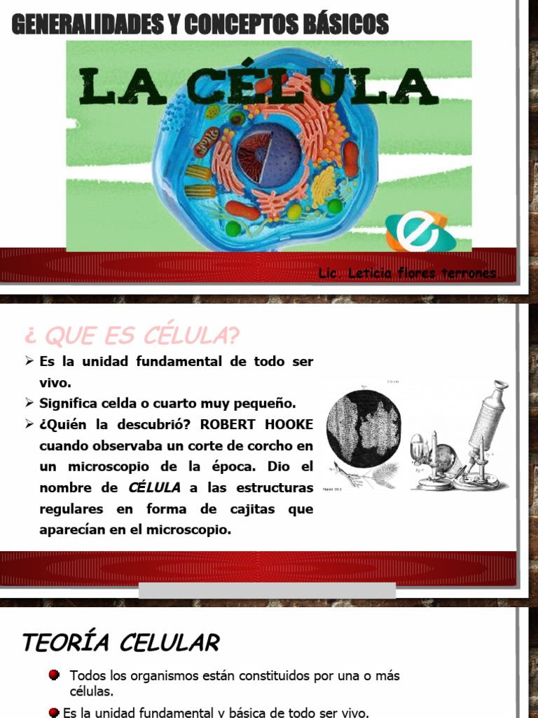 Tema 01 - Celula y Tejido Del Cuerpo Humano | PDF