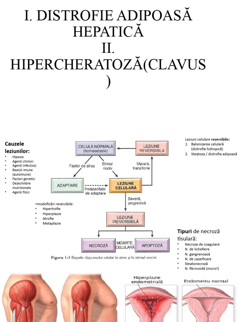Distrofie Clavus | PDF