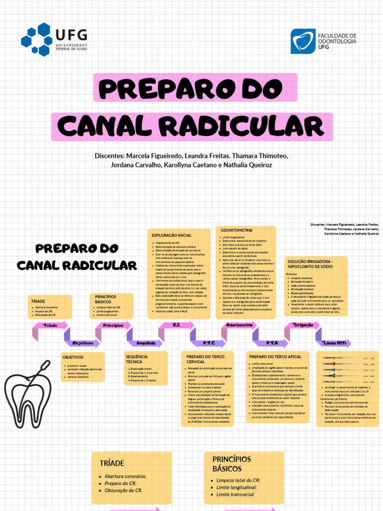 Mapa Mental Endo | PDF