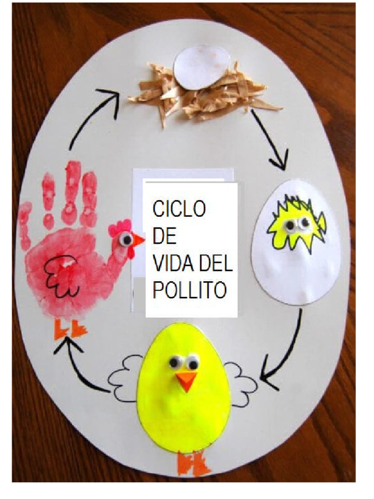 Manualidad Del Ciclo de Vida Del Pollito para Arte | PDF