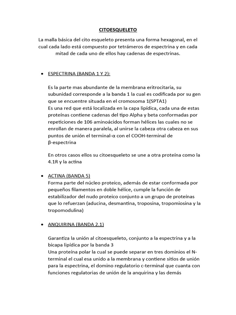 Estructura del Citoesqueleto: Espectrina y Actina | PDF | Actina ...