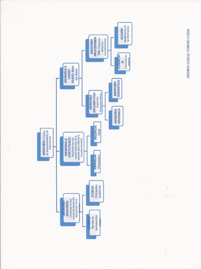 Mapas Conceptuales | PDF