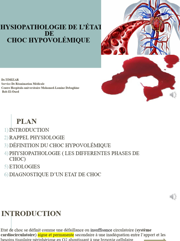 Physiopathologie de L'état de Choc Hypovolémique 3 | PDF