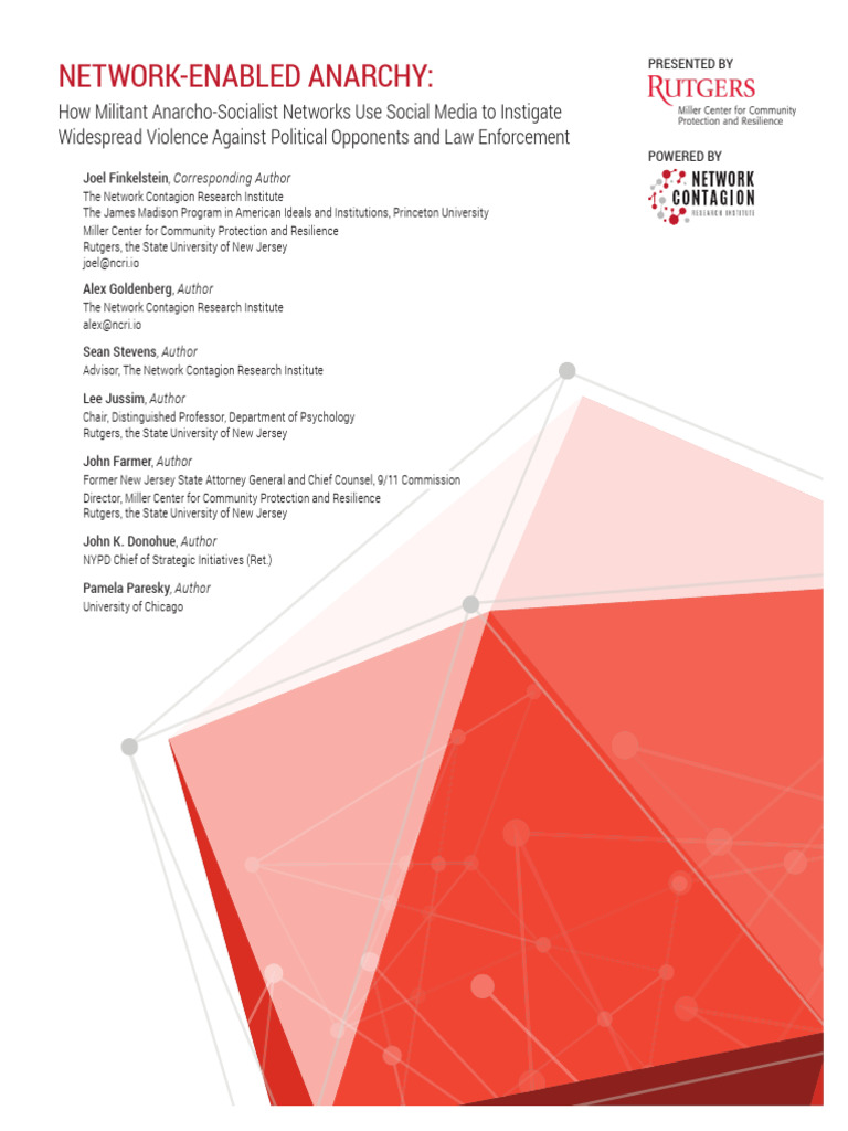 NCRI White Paper Network Enabled Anarchy | PDF | Politics | History