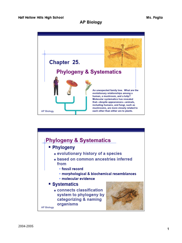 Phylogeny And Systematics Pdf Molecular Phylogenetics Phylogenetics 