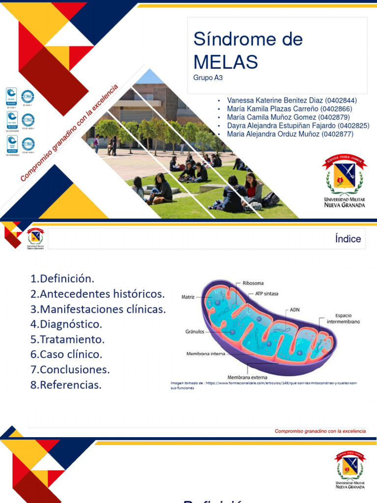 Sindrome MELAS | PDF | Epilepsia | Adn mitocondrial
