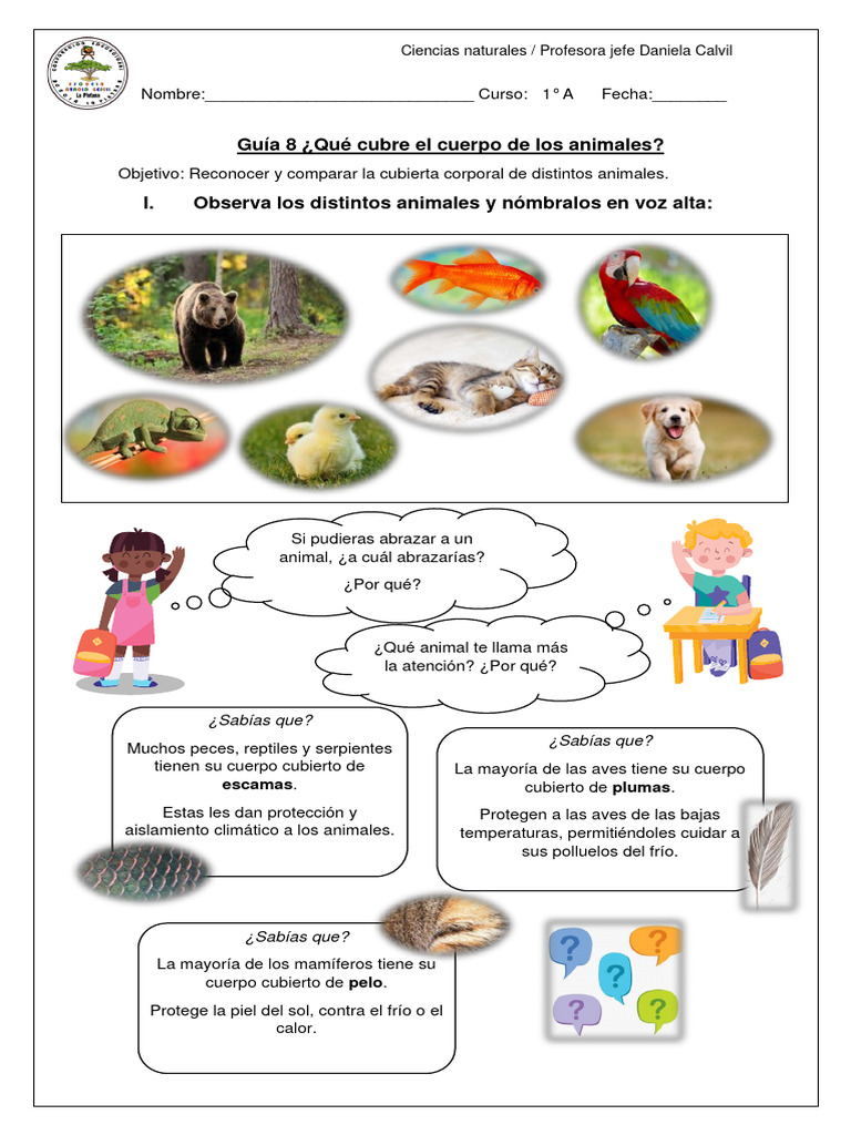 1° - Ciencias - 8TIPOS CUBIERTAS | PDF | Pluma | Aves